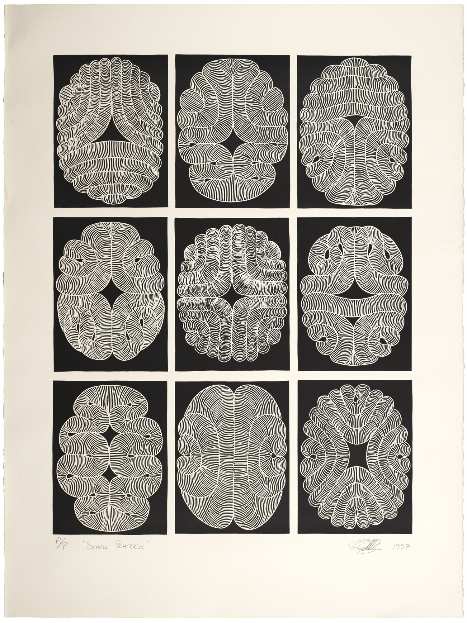 Peacock & Worm – Black Peacock